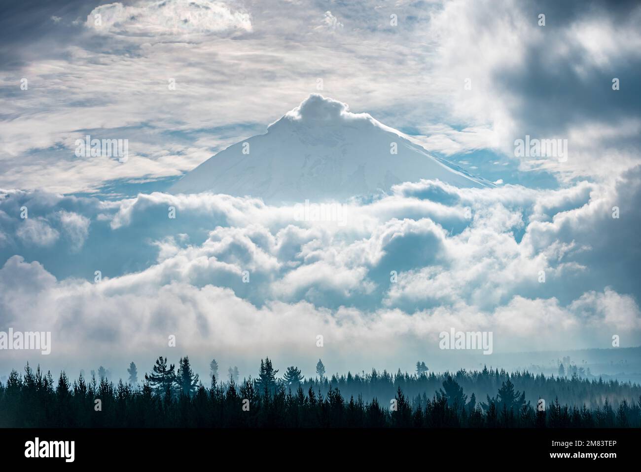 Chimborazo volcano in Andes, the highest mountain in Ecuador Stock ...