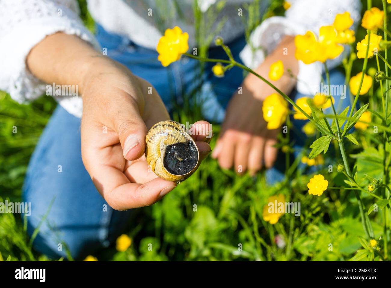 PERRINE DOUDIN, HELIXINE, SNAIL FARMER, PRODUCER OF ORGANIC SNAILS ...