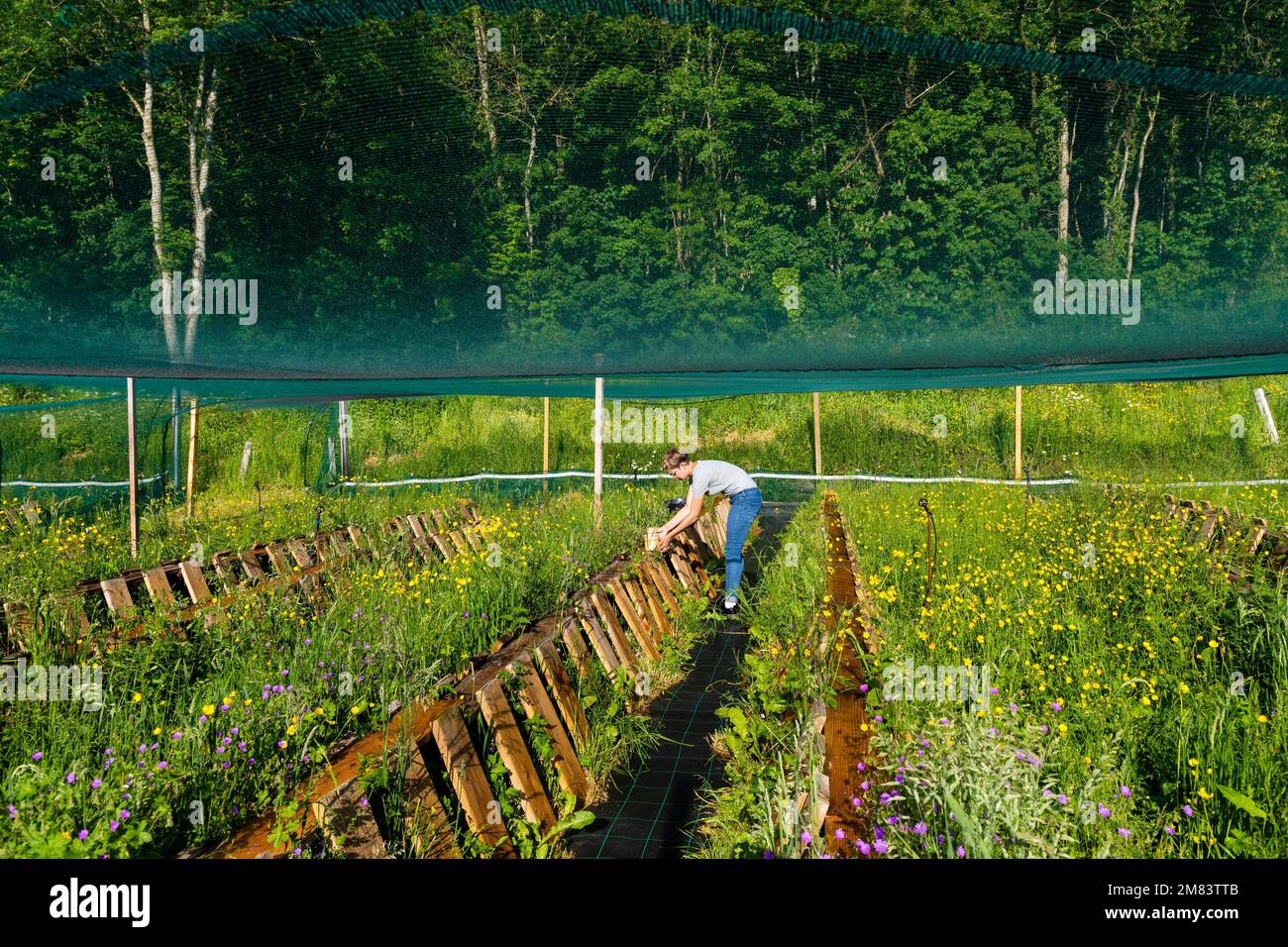 Perrine doudin hi-res stock photography and images - Alamy