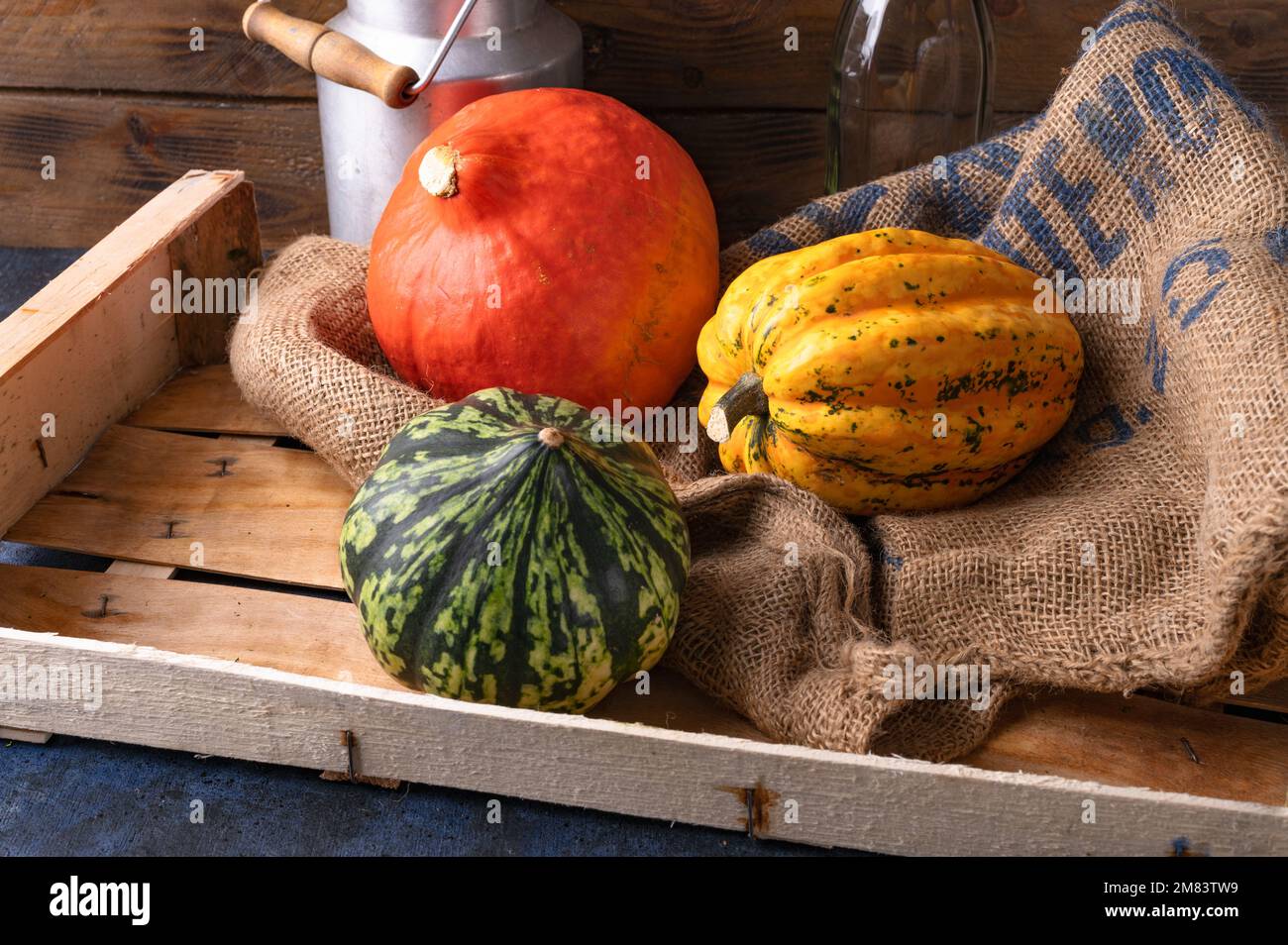 Box with mini pumpkins Stock Photo - Alamy