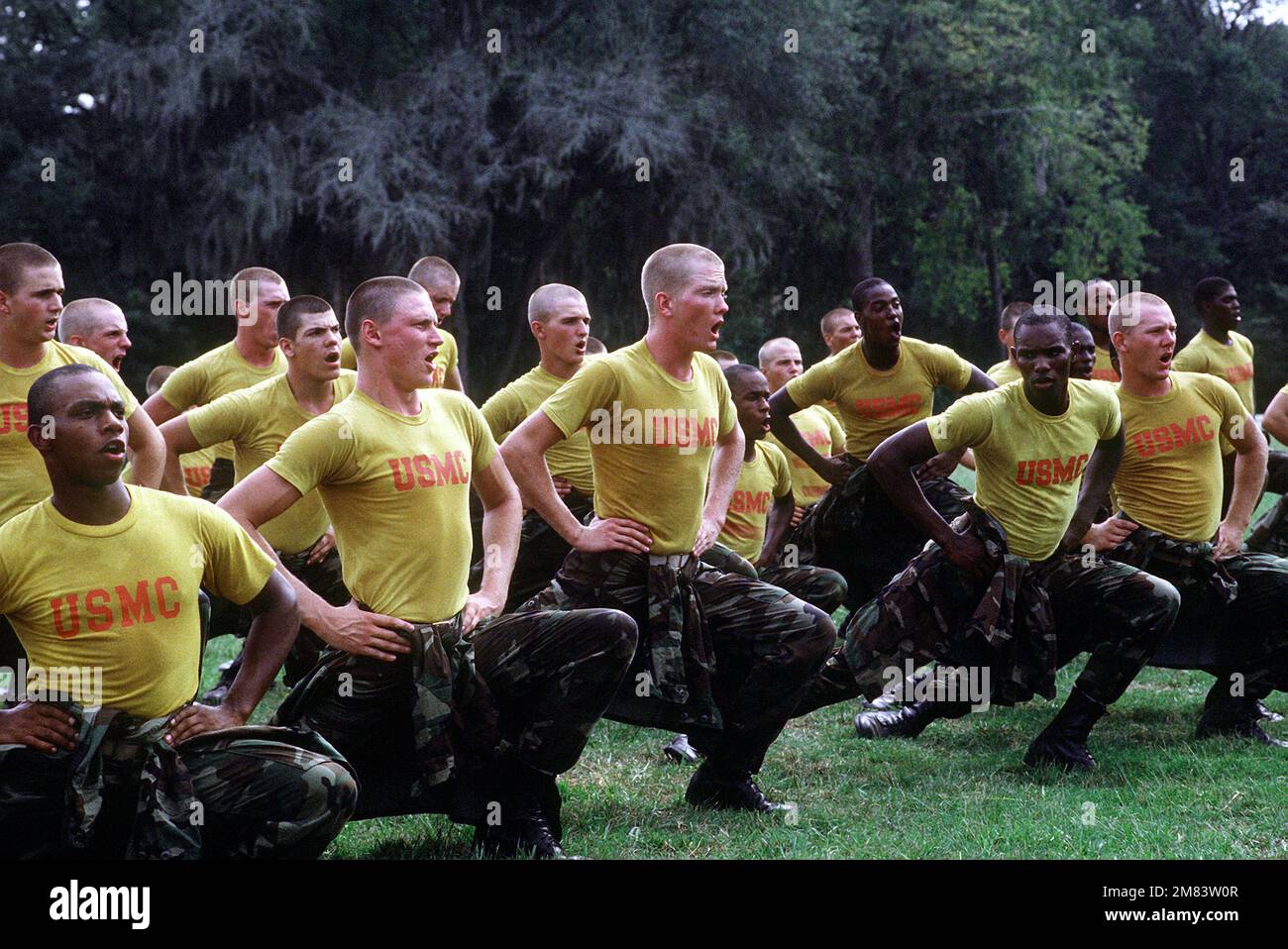 Marine recruits perform a stretching exercise prior to physical ...