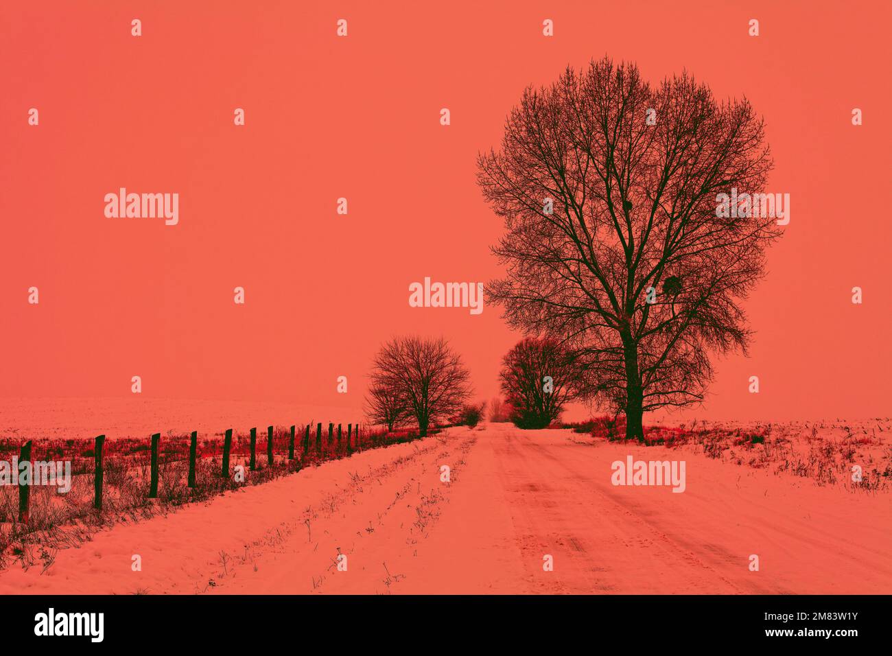 Snow-covered country road during snowfall. Orange toning Stock Photo ...