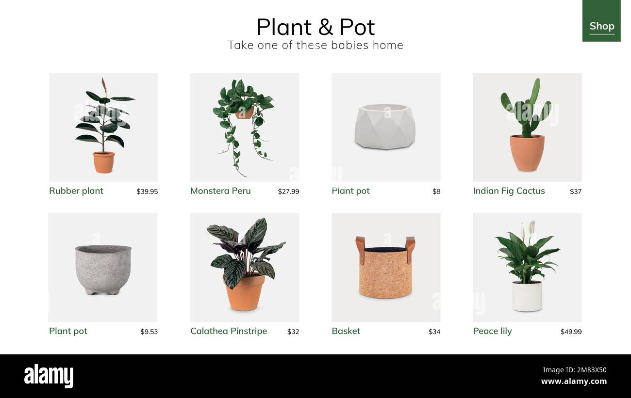 Plant and pot template vector for social media ad Stock Vector Image ...