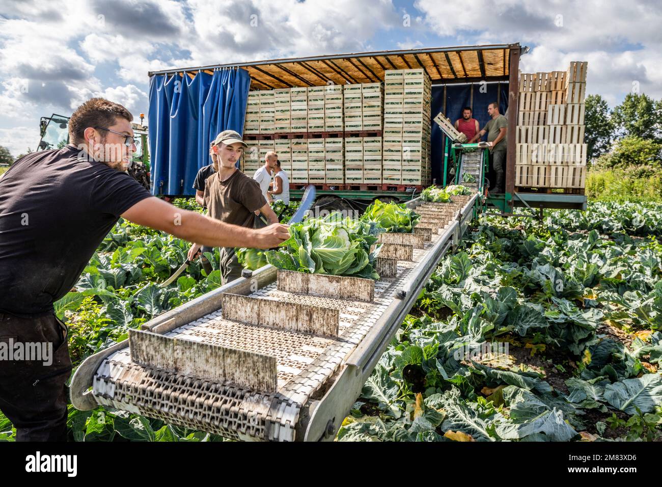 Cpnveyor hi-res stock photography and images - Alamy