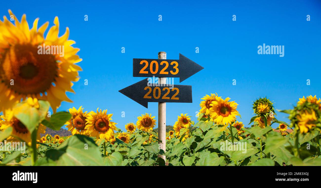 Road sign for year 2023 in sunflower garden Stock Photo - Alamy