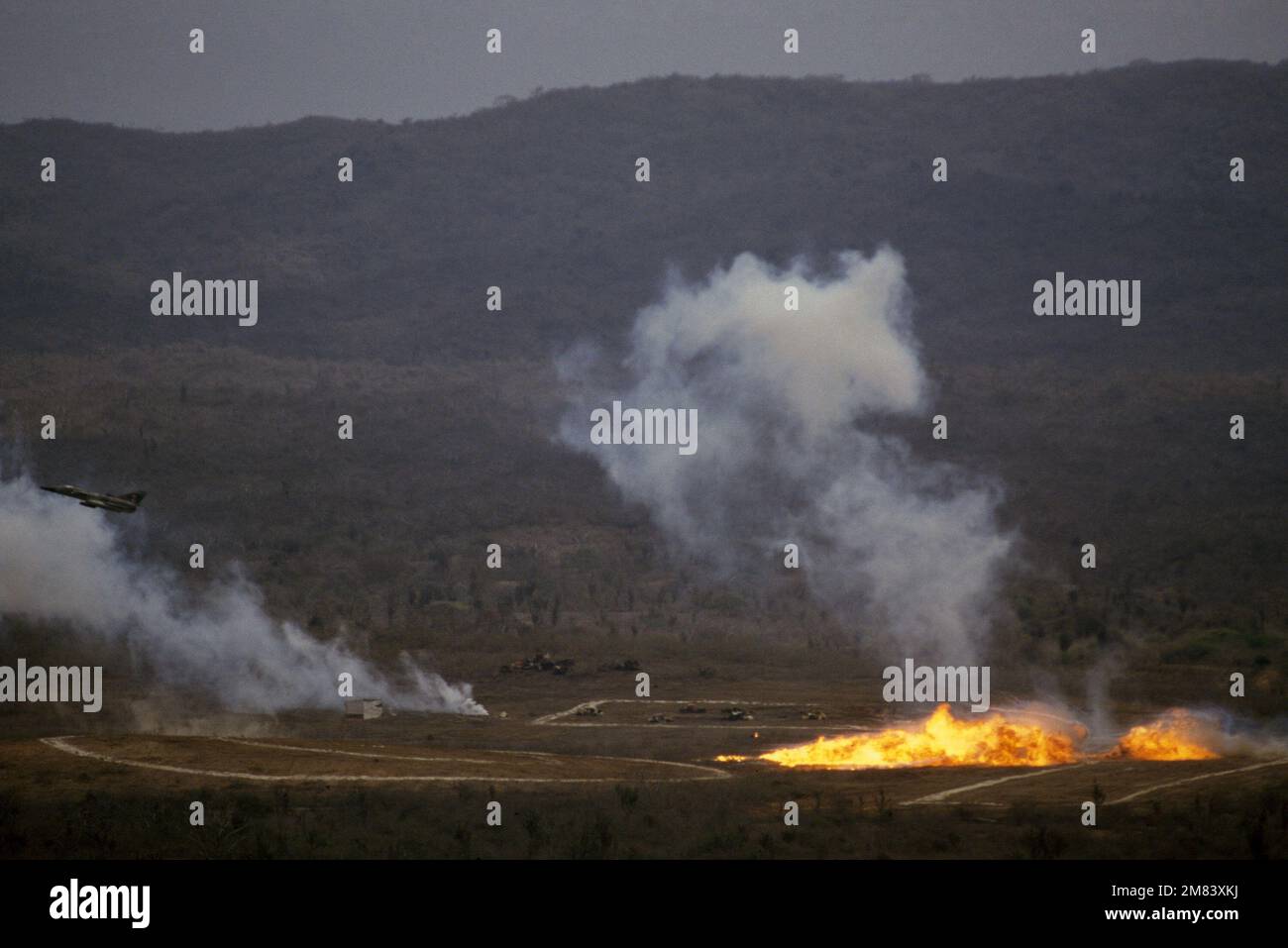 Taura hi-res stock photography and images - Alamy