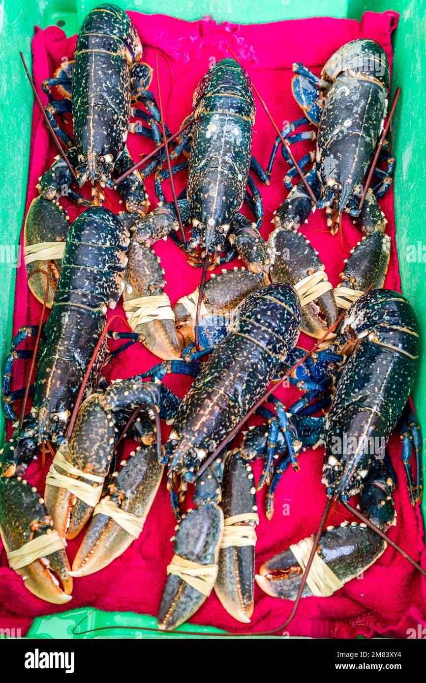 Boulogne sur mer fish hi-res stock photography and images - Alamy