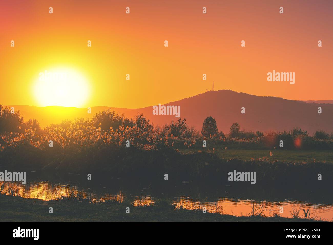 The Hula Valley in northern Israel at sunset Stock Photo - Alamy