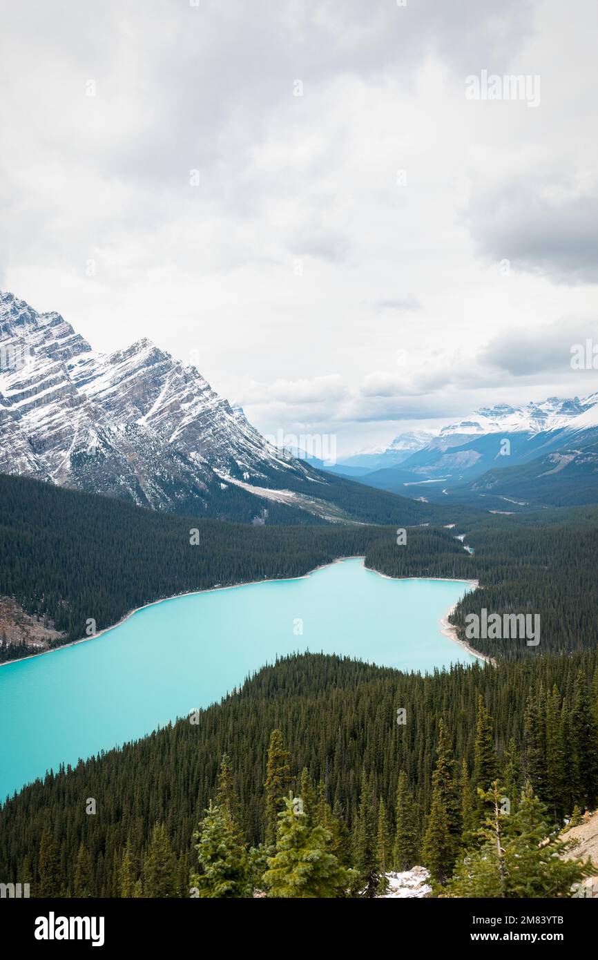 Peyto Lake is a glacier-fed lake in Banff National Park in Canadian ...