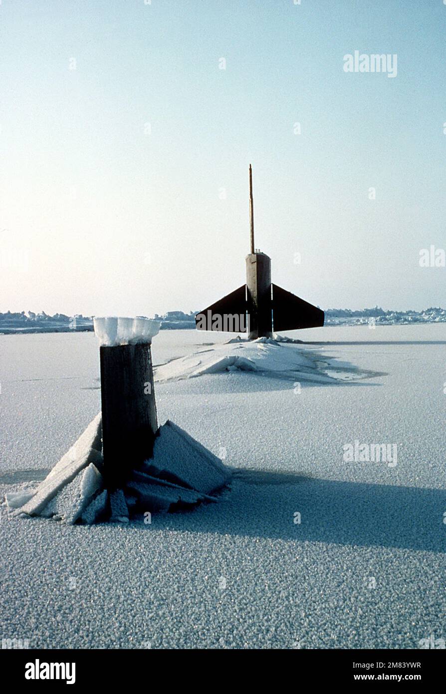 The sail and tail fin of the nuclear-powered submarine USS TREPANG (SSN ...