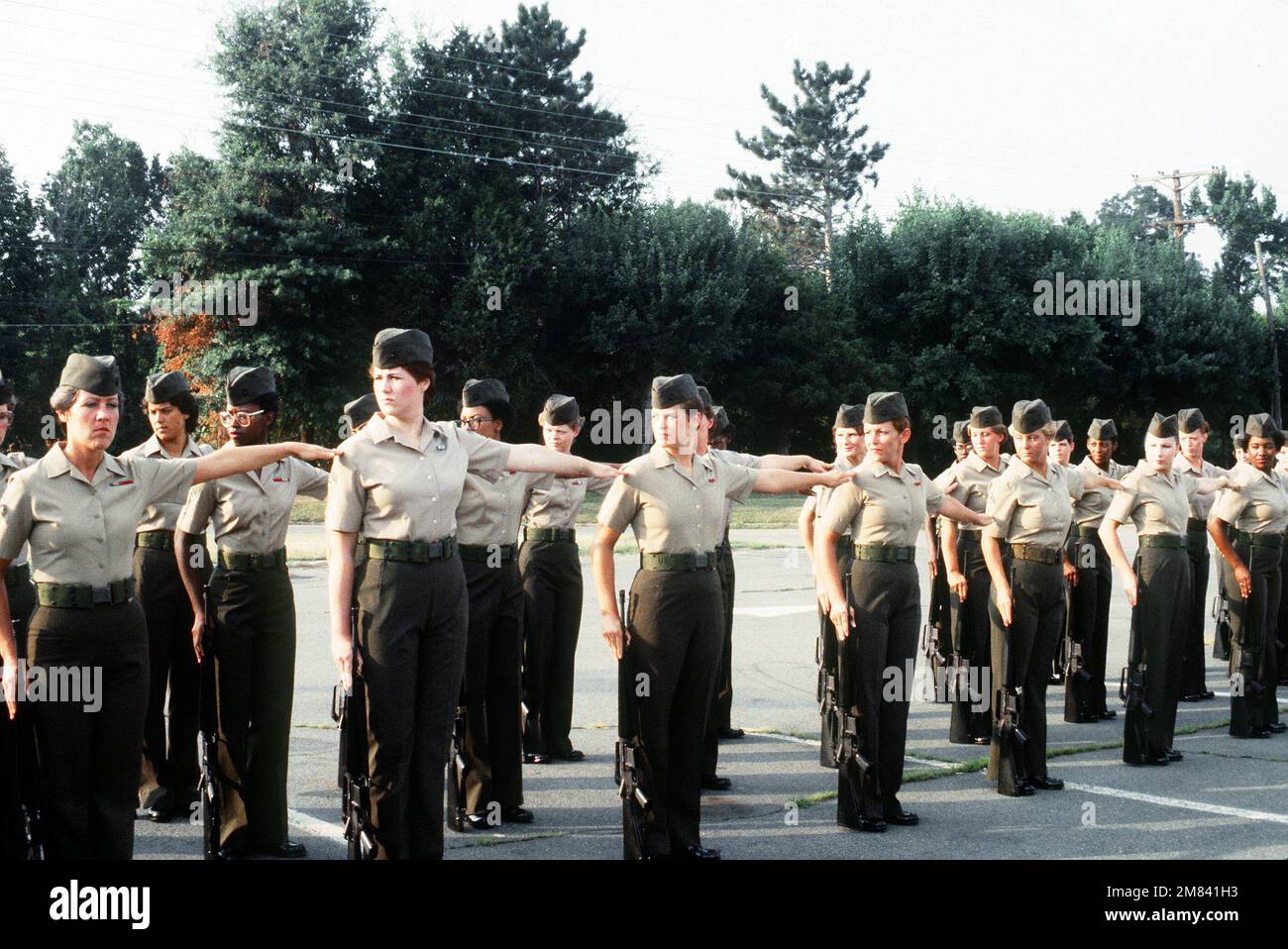 The Marine Corps first all-woman drill platoon stands in formation with ...