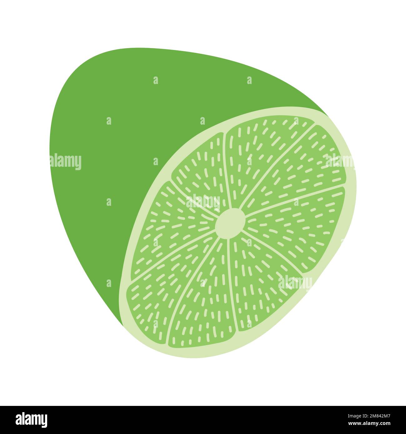 Vector lime fruit illustration Stock Vector Image & Art - Alamy