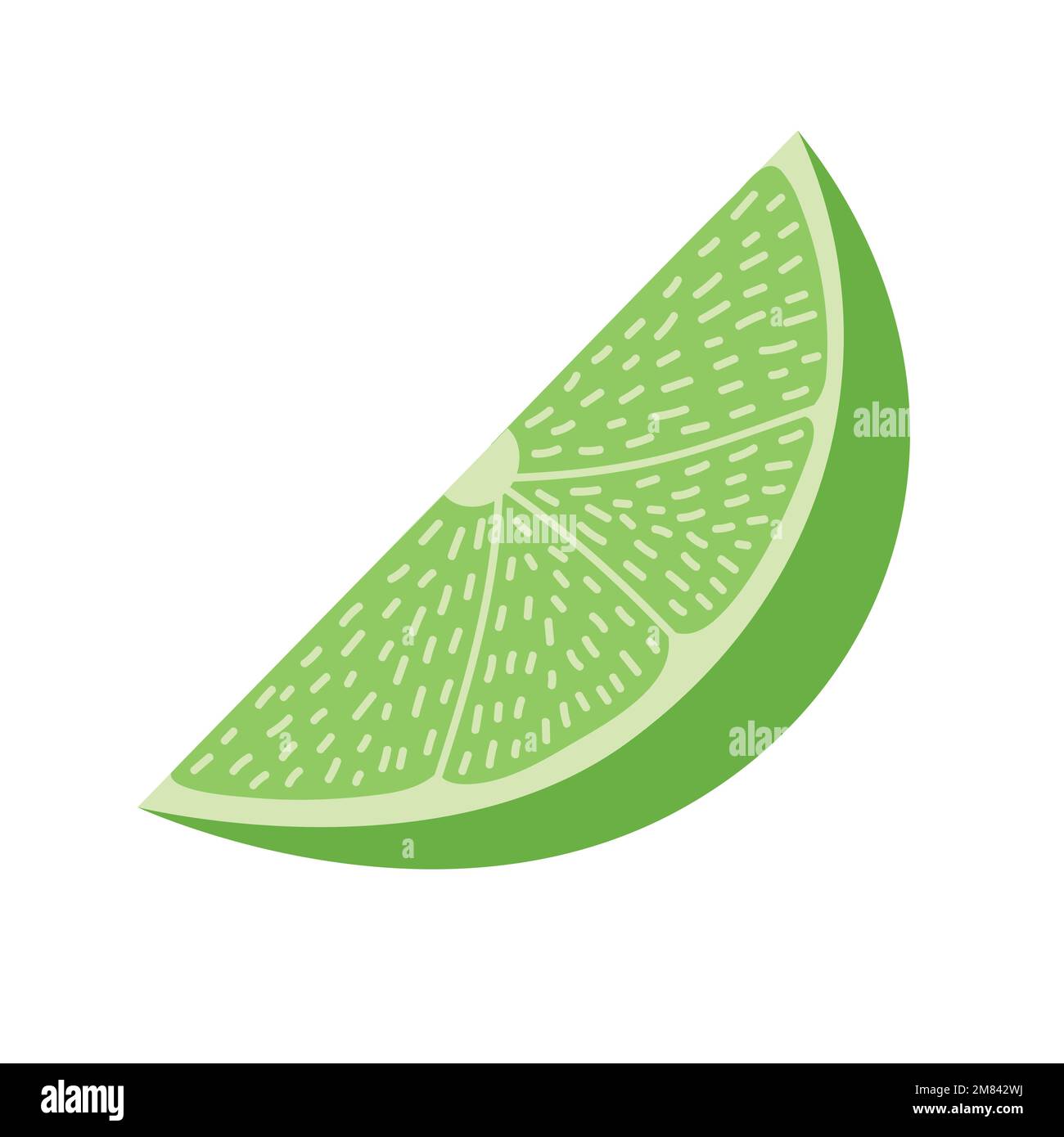 Vector lime fruit illustration Stock Vector Image & Art - Alamy