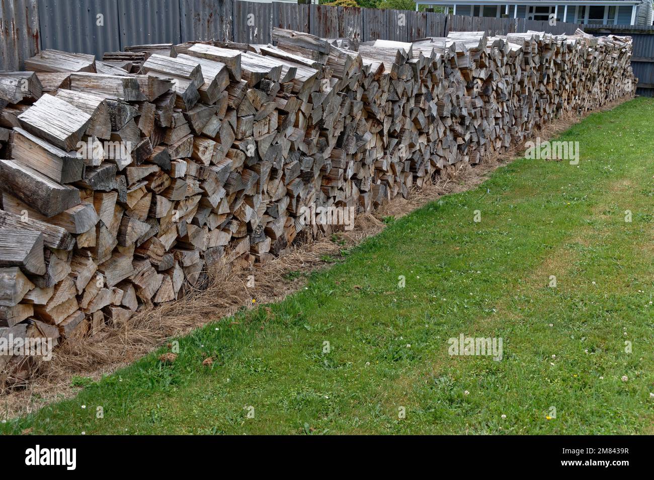 Winter fuel is piled along a fence neatly, drying out ready for the ...