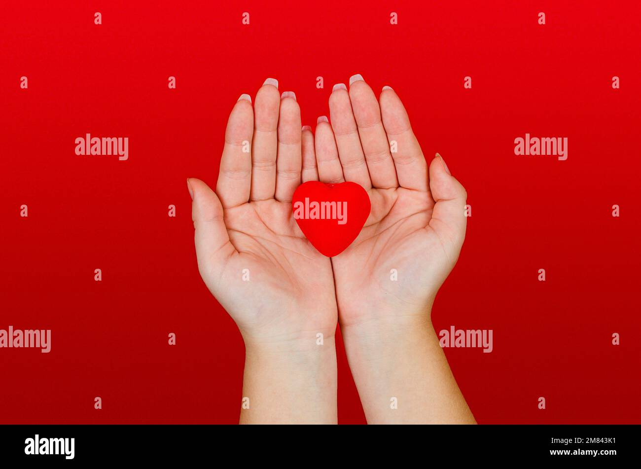 Red heart on woman's hands on red background, top view. Giving life ...
