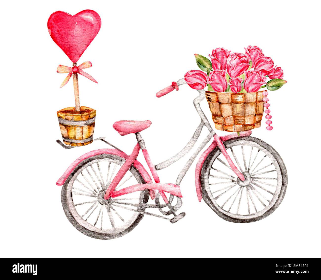 Watercolor illustration of an pink bicycle . Hand-drawn in watercolour ...