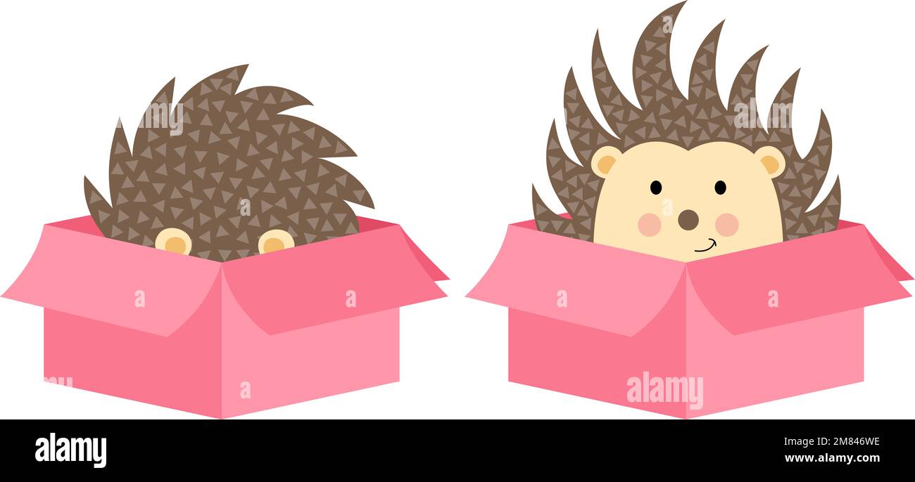 Cute hedgehog in cardboard box Stock Photo - Alamy