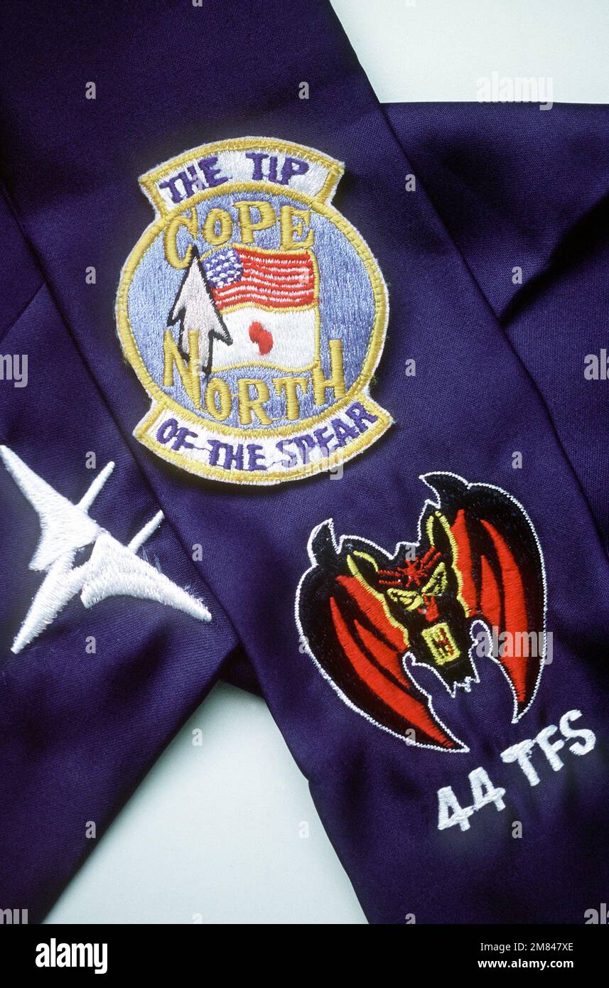 The patches of the 44th Tactical Fighter Squadron and the joint U.S ...