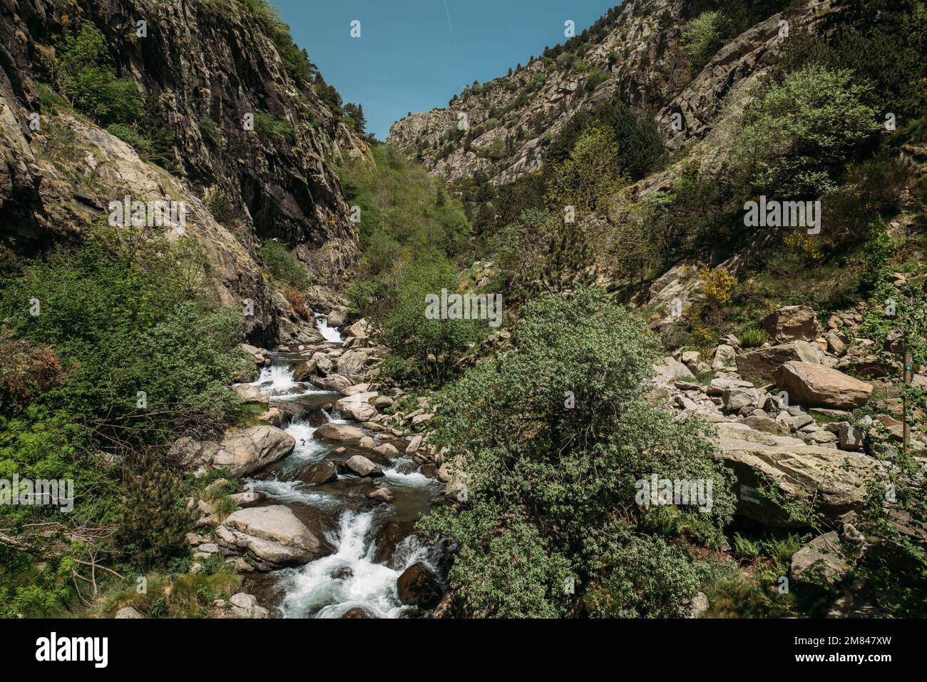 River of shallow depth with rocky bed in valley of Vall de Nuria Spain ...