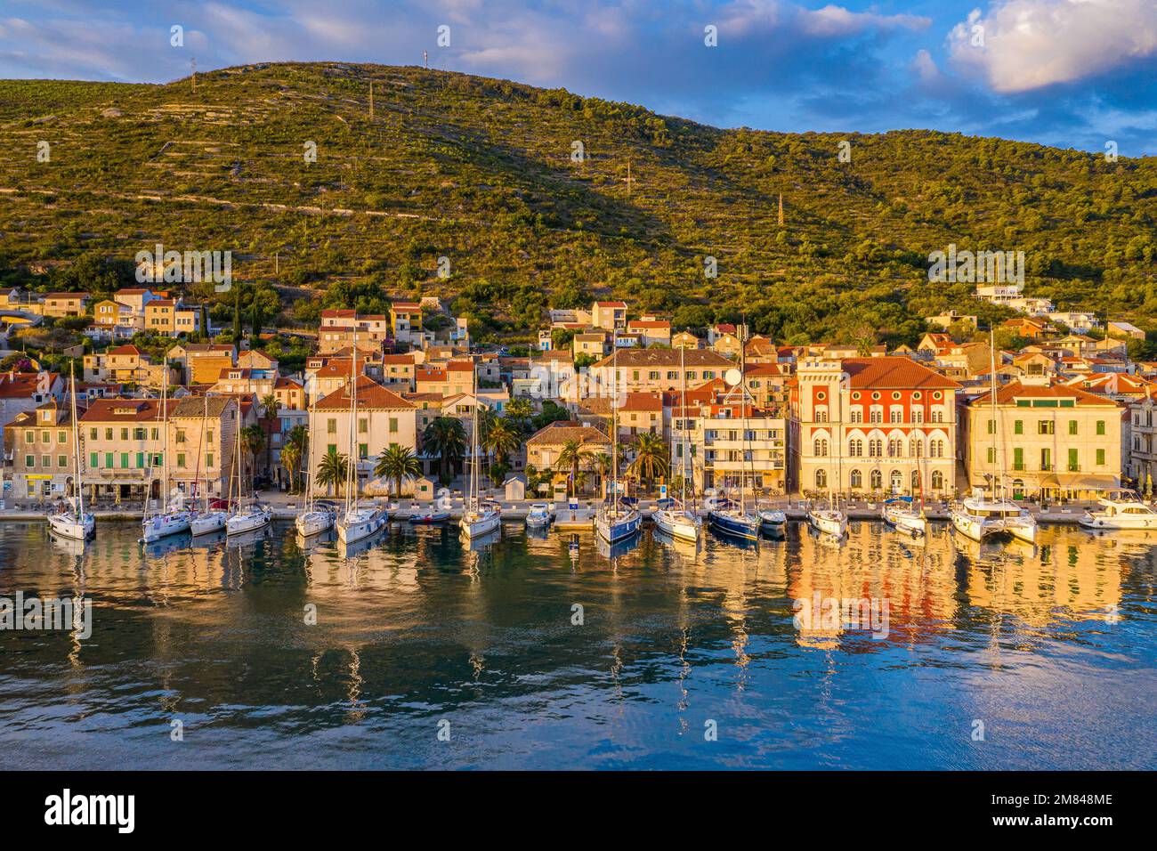 Vis marina hi-res stock photography and images - Alamy