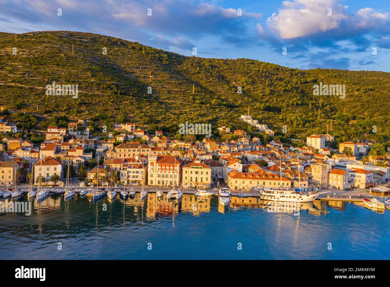 Vis marina hi-res stock photography and images - Alamy