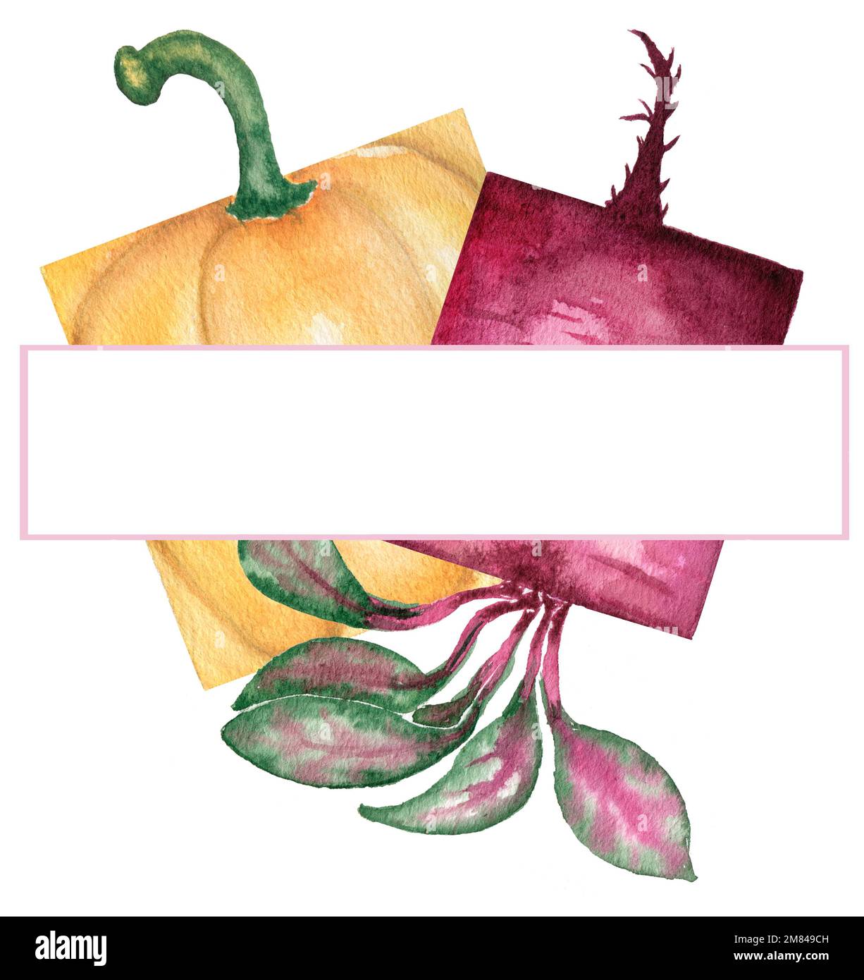 Watercolor cute garden vegetables frame, harvest illustration, beetroot ...