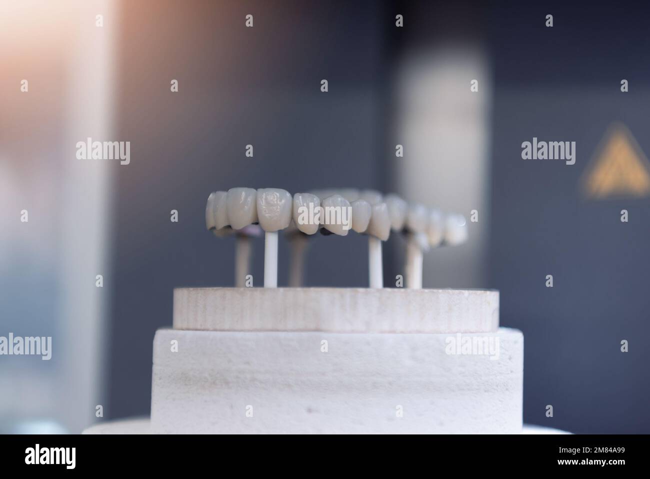 Close up tooth model / mock tooth in dental clinic Dental care and ...