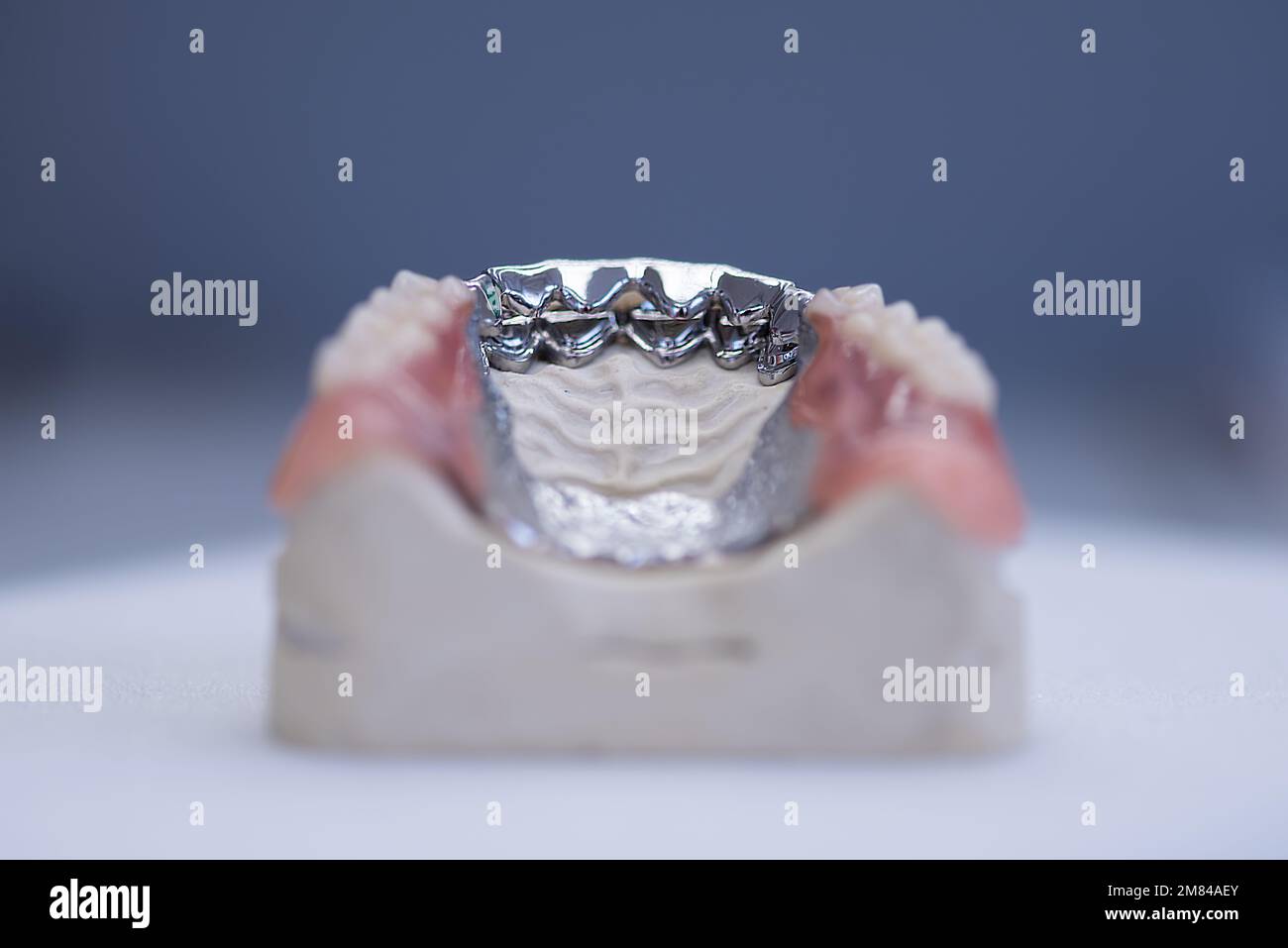 Close up tooth model / mock tooth in dental clinic Dental care and ...