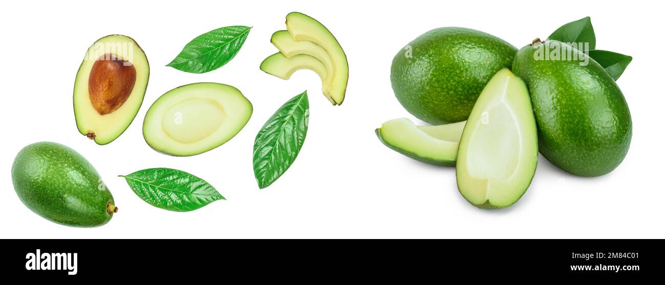 avocado and slices decorated with green leaves isolated on white ...