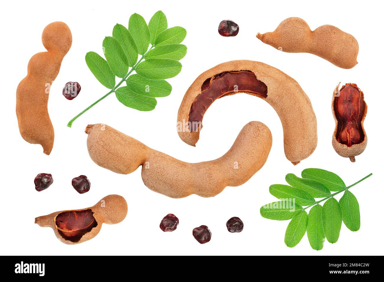 Tamarind fruit with seed isolated on white background, Top view. Flat ...