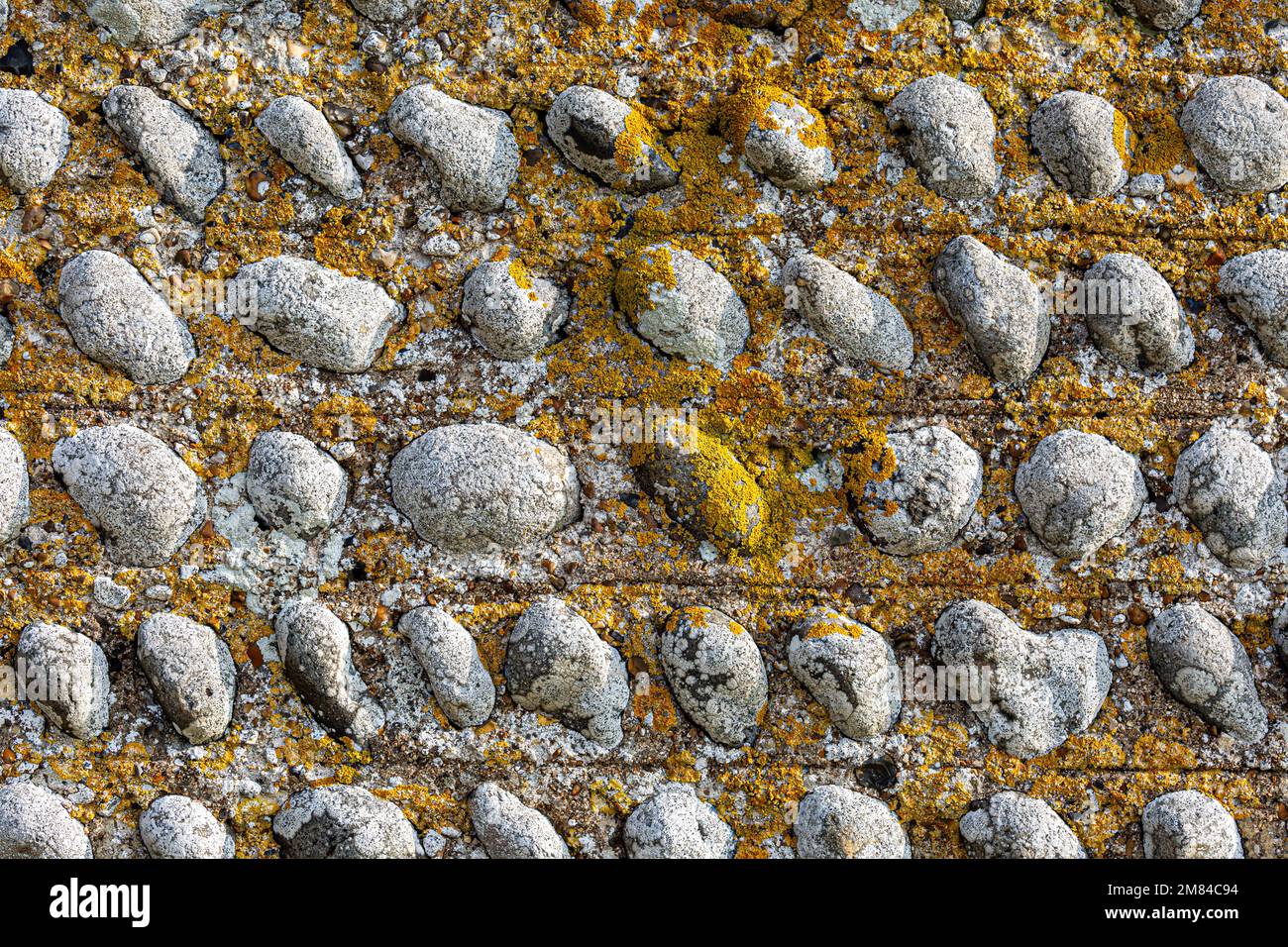 A full frame photograph of a weathered wall in Sussex Stock Photo - Alamy