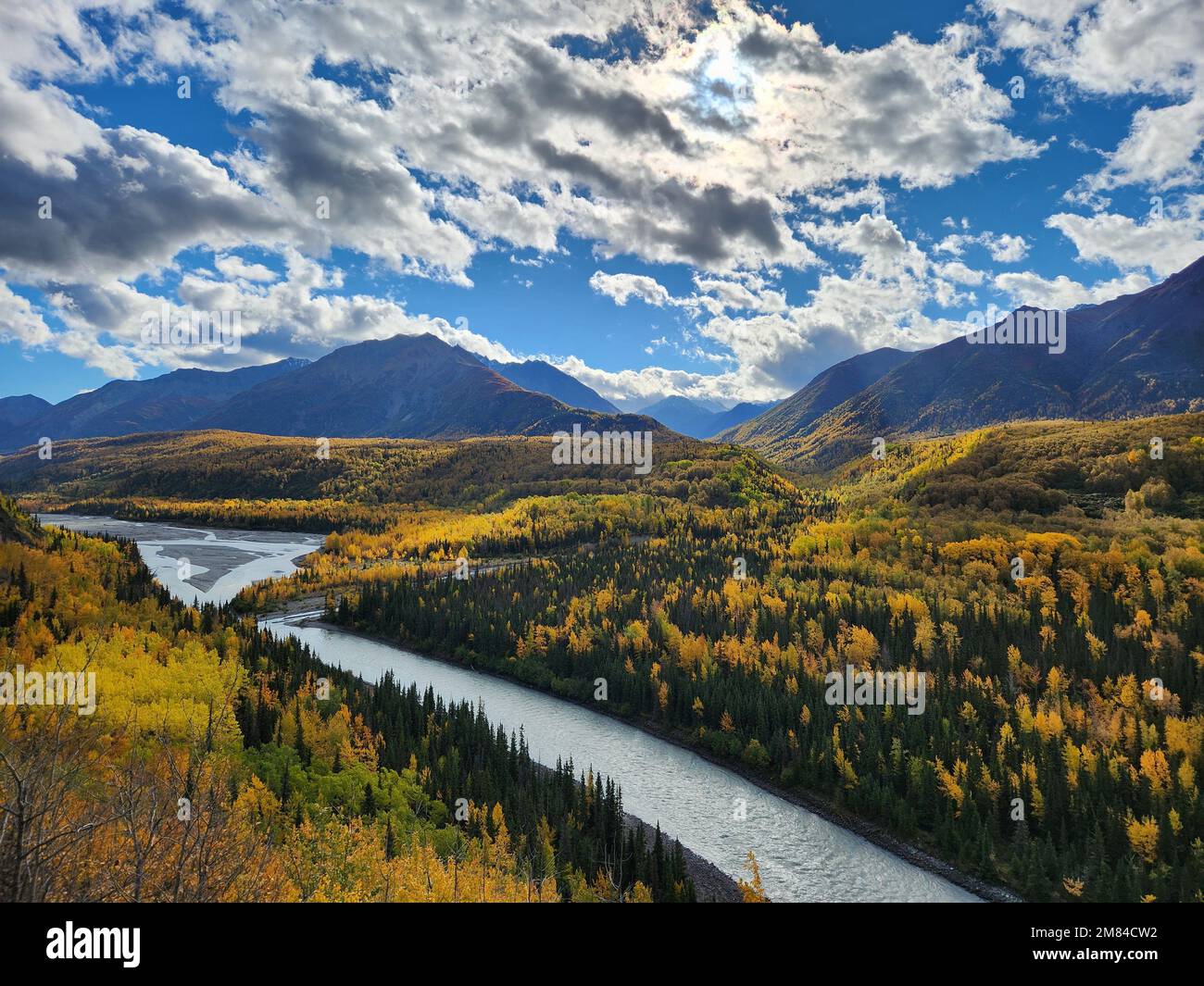 An aerial shot of the Matanuska river with yellowed trees, Alaska Stock ...