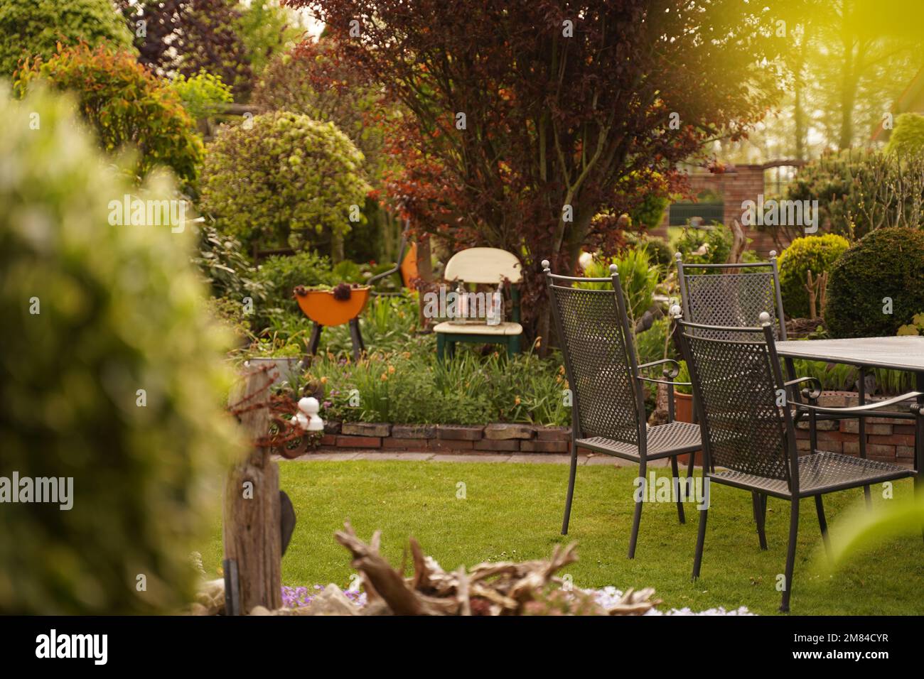 Beautiful sunny fresh garden ornamental hi-res stock photography and ...