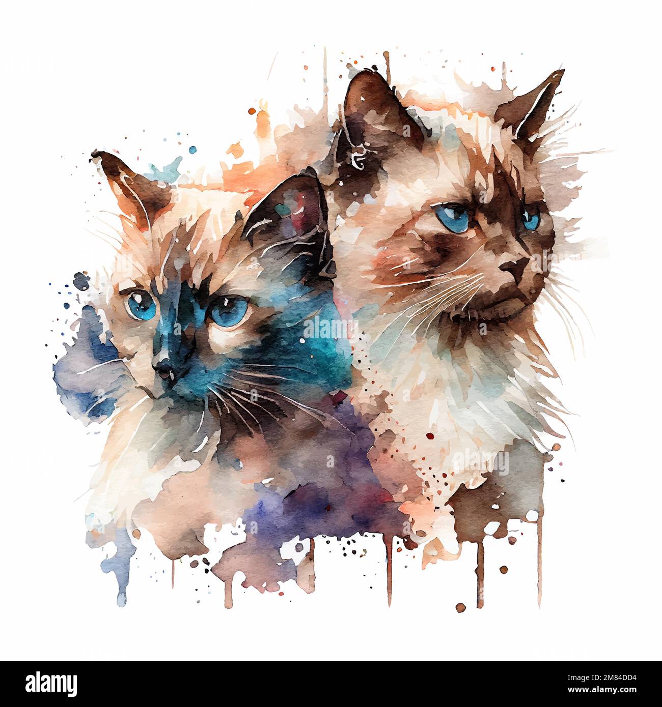 Two Watercolor Cute Lovely Cats Stock Vector Image & Art - Alamy