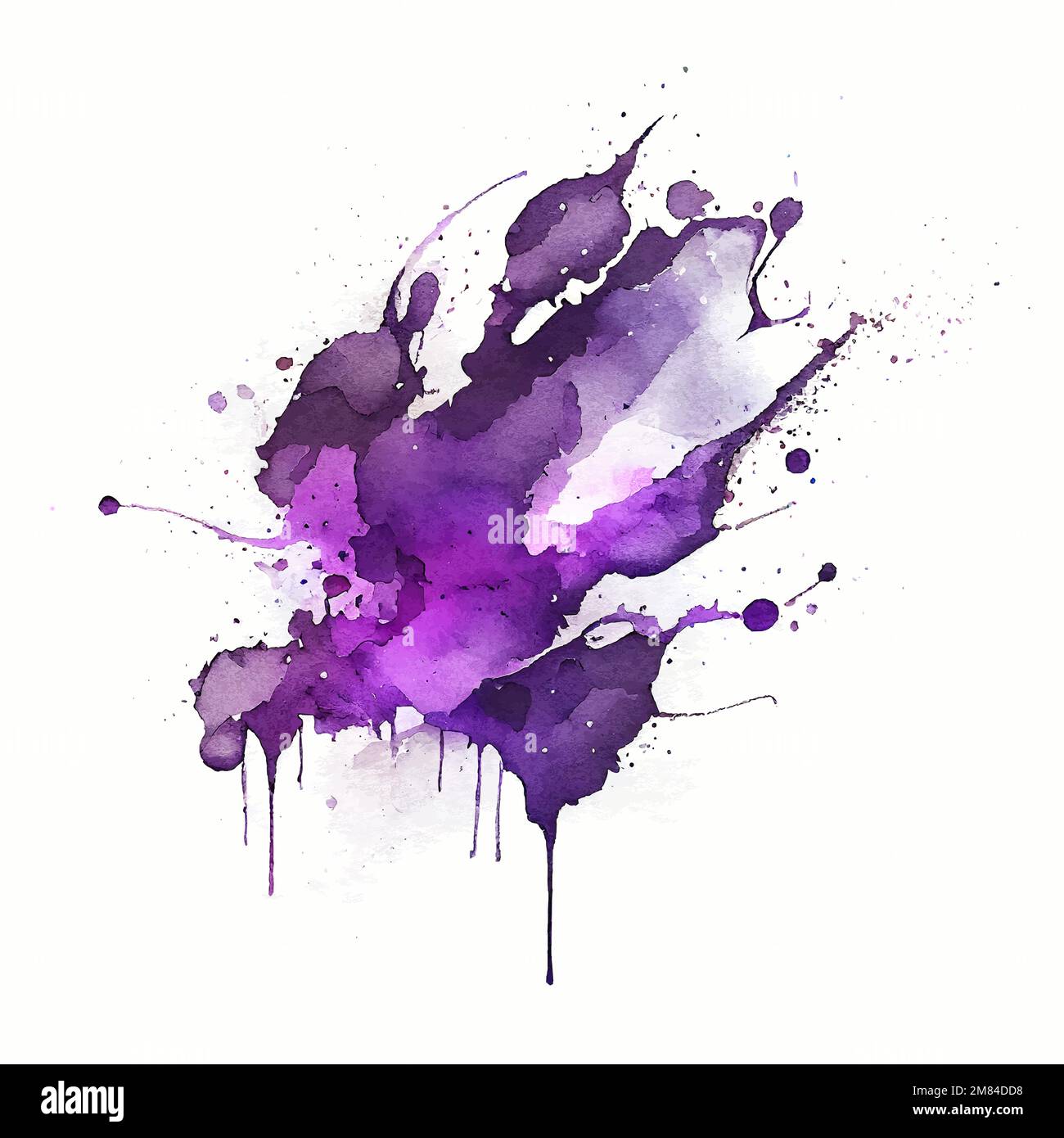 Violet Watercolor Paint Splash Isolated Stock Vector Image & Art - Alamy
