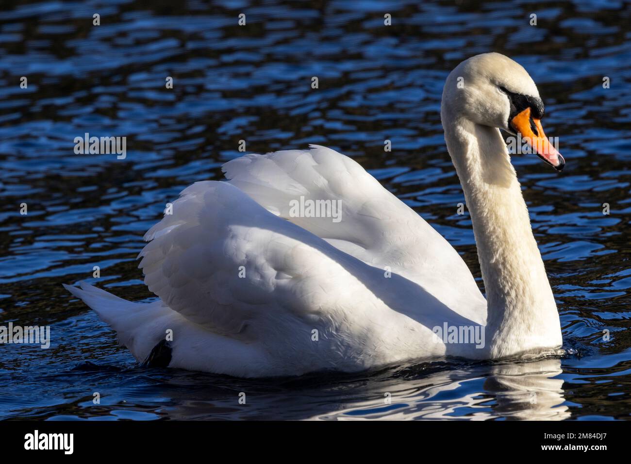Olden days hi-res stock photography and images - Alamy