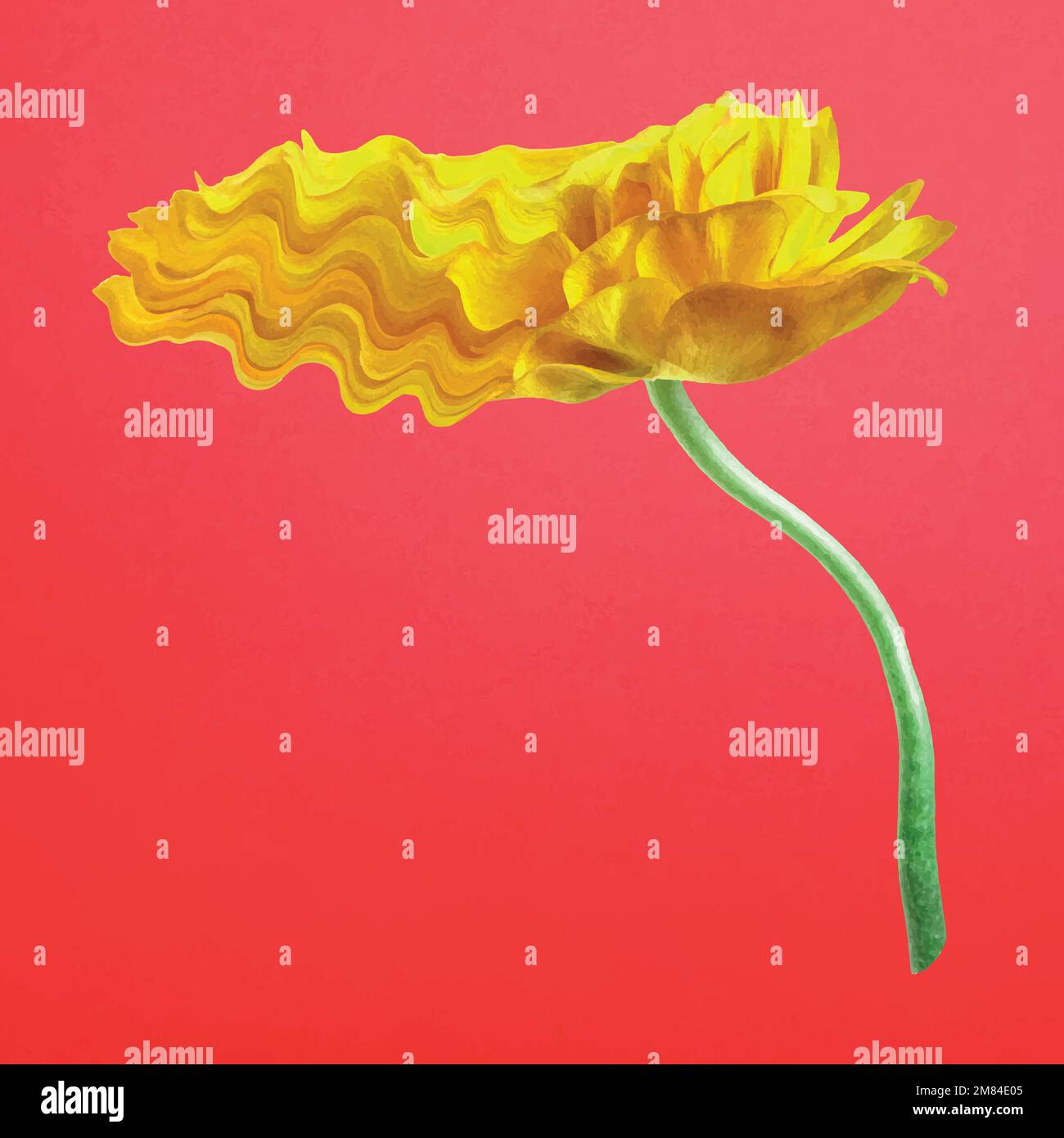 Buttercup flower sticker vector, yellow trippy psychedelic art Stock ...