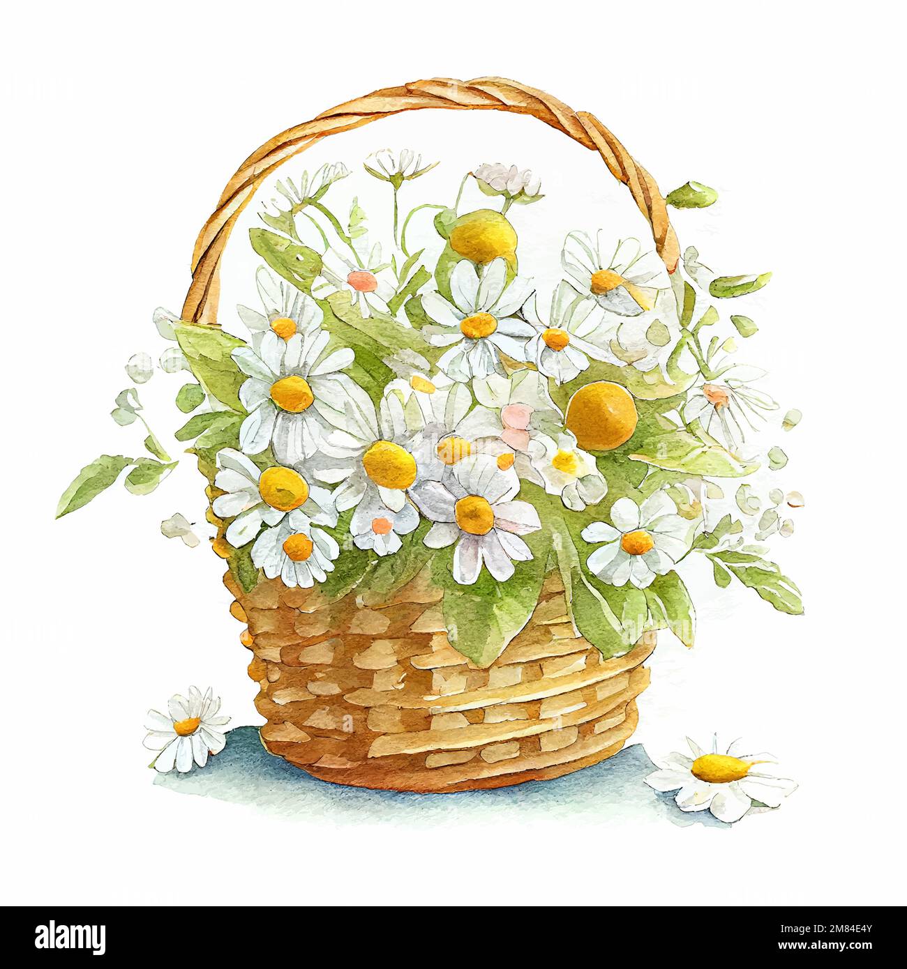 Cute watercolor basket with spring flowers Stock Vector Image & Art - Alamy