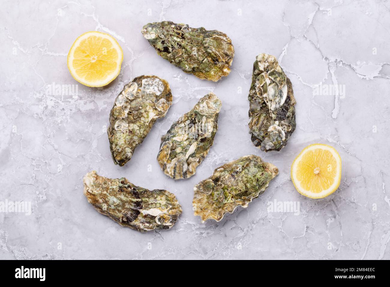 Fresh oysters with lemons. Flat lay Stock Photo - Alamy