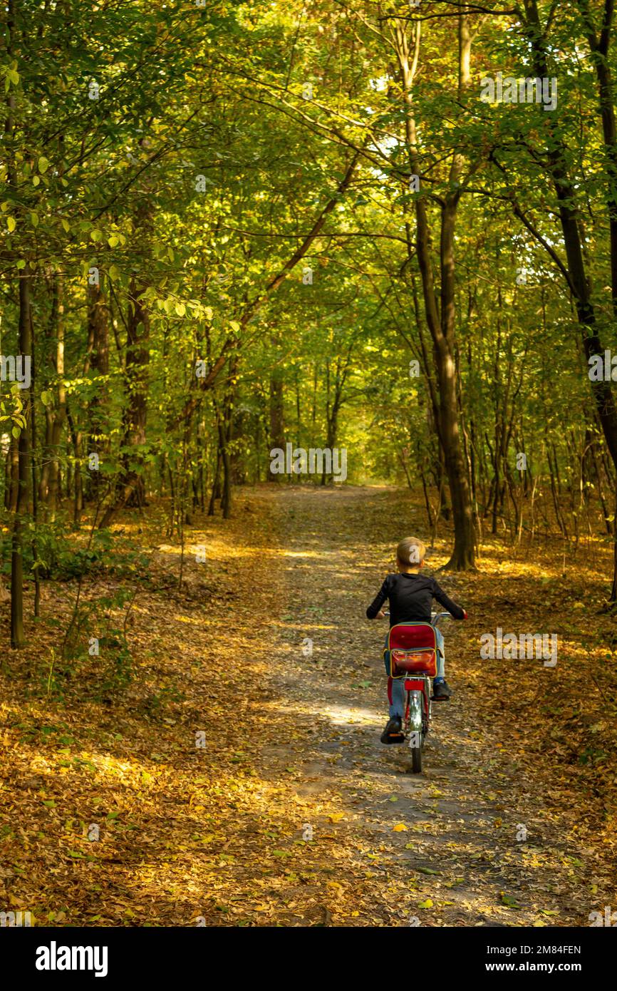 Autumn in the park. Ride a bike in the forest. Children sports, outdoor ...