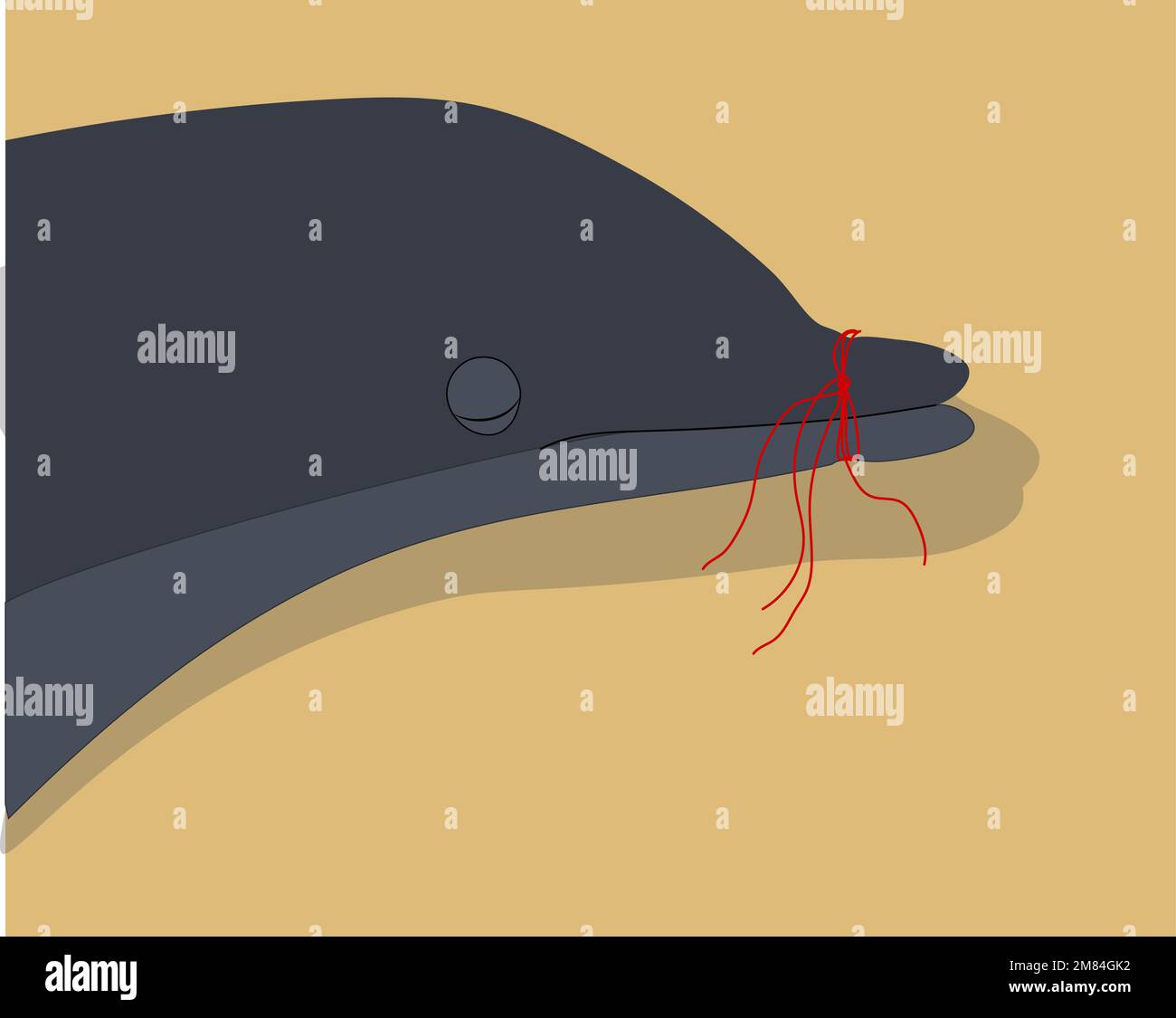 Dead or sick dolphin with face wrapped by plastic trash treads. Poor ...