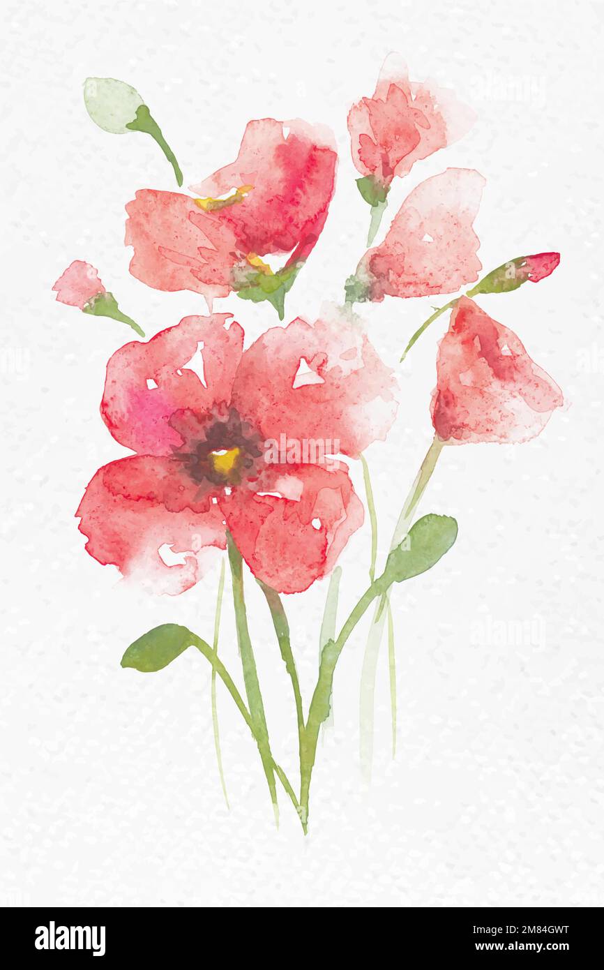 Pink poppy flower watercolor vector spring seasonal graphic Stock ...
