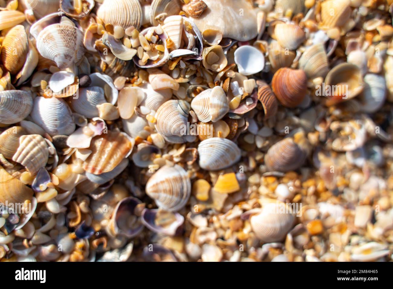 Azov seashore hi-res stock photography and images - Alamy