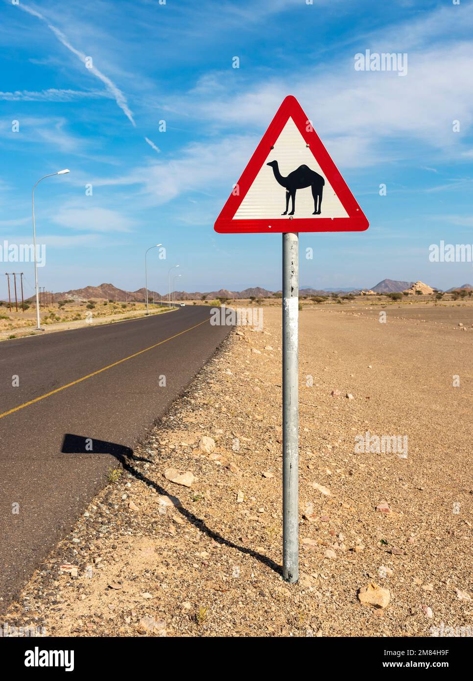 Camel warning traffic sign, Oman Stock Photo - Alamy