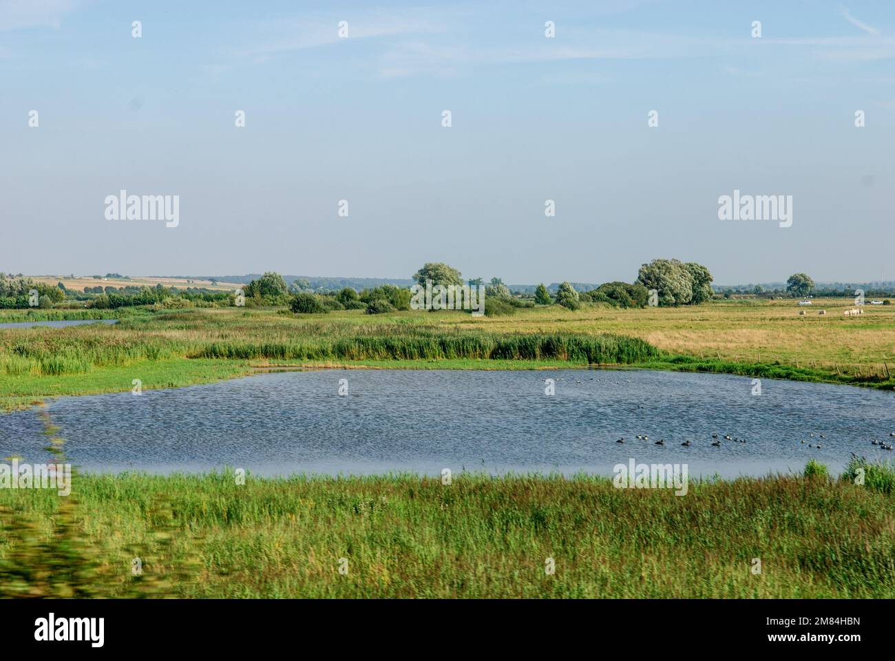 Somme Bay in Picardie Stock Photo - Alamy