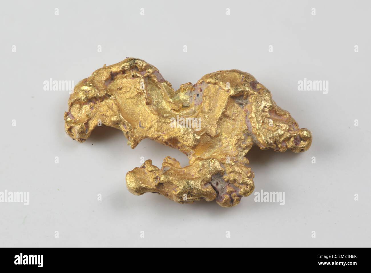 Nugget of gold. This is hand-panned gold from the Lemmenjoki national ...