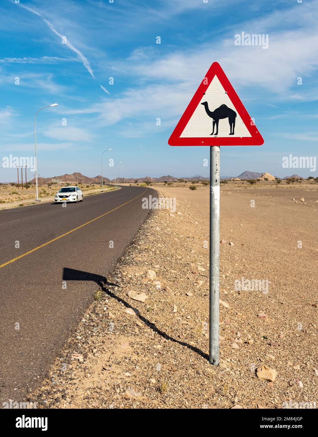 Camel warning road sign, Oman Stock Photo - Alamy