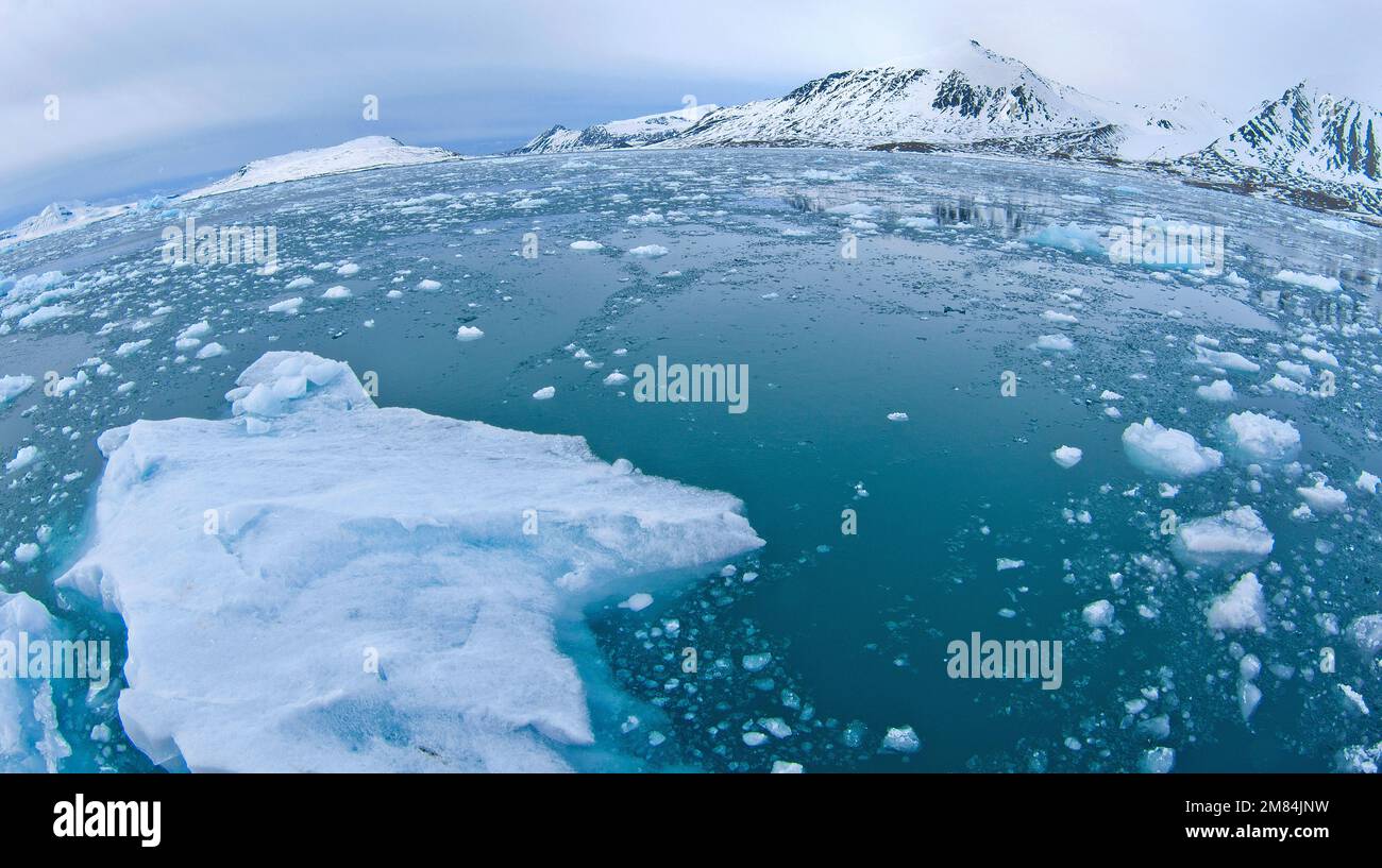 Drift floating Ice and Snowcapped Mountains, Iceberg, Ice Floes, Albert ...