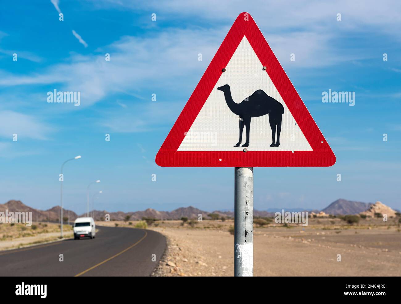 Camel crossing road sign, Oman Stock Photo - Alamy