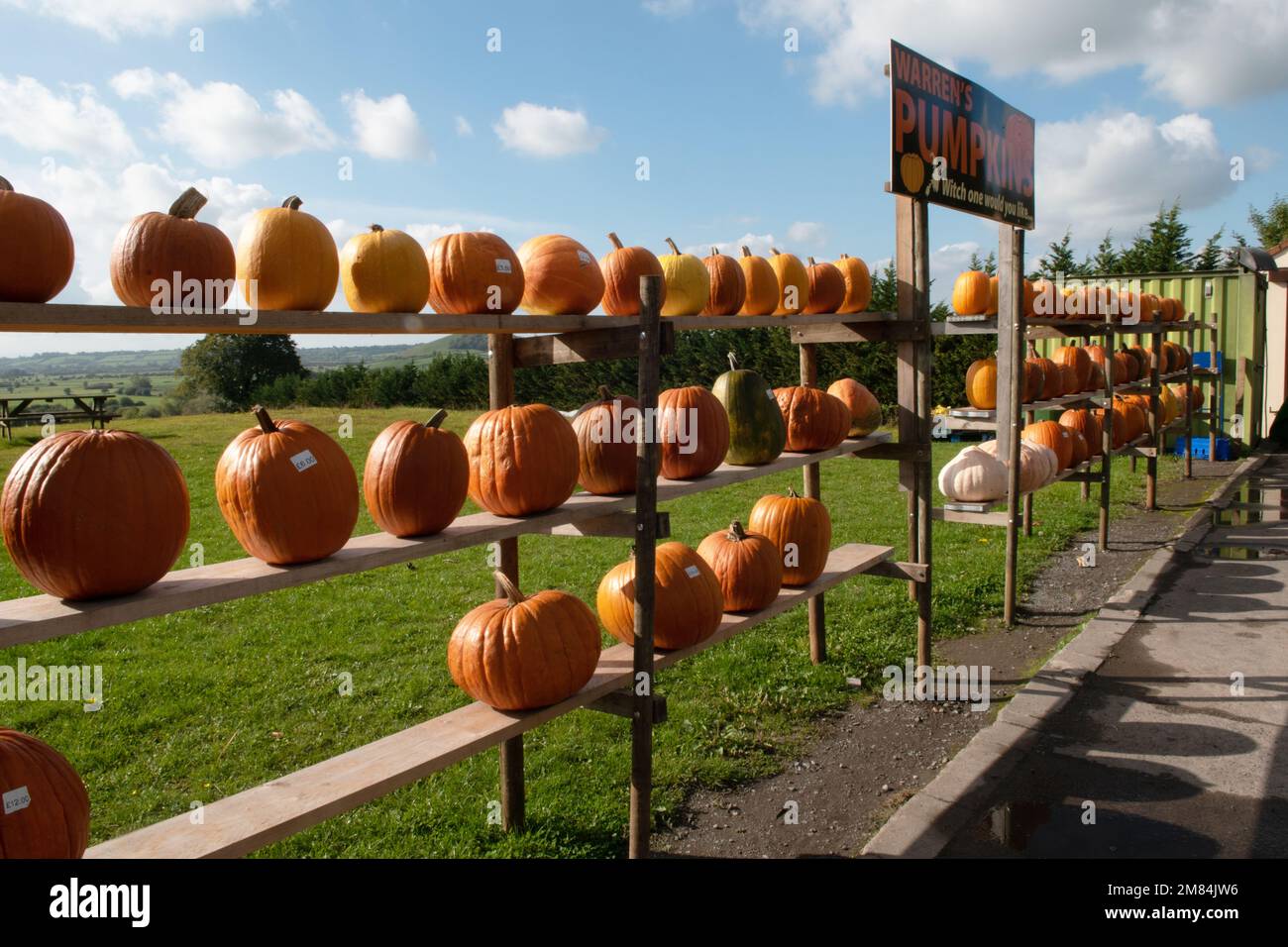 Pumkins at a roadsise stall, Draycott, Somerset, England Stock Photo ...